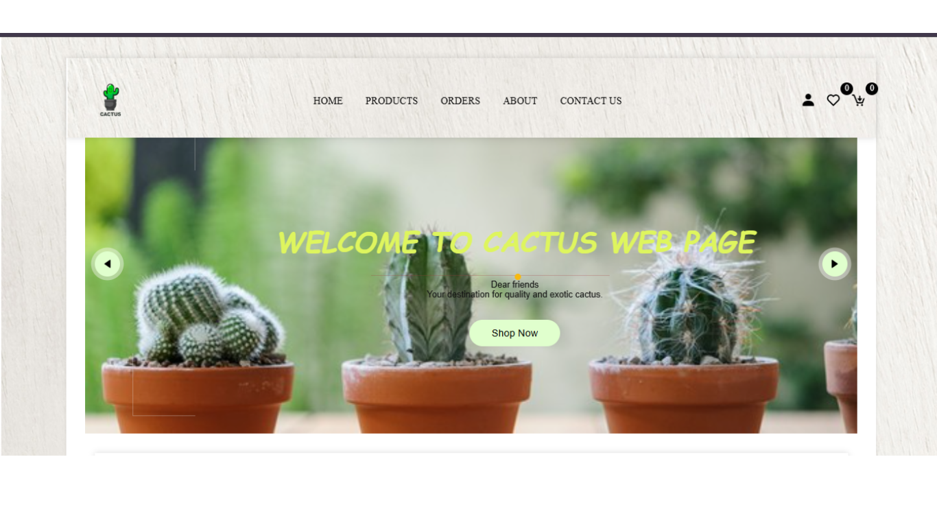 Thashani - Web Developer & UX/UI Designer
